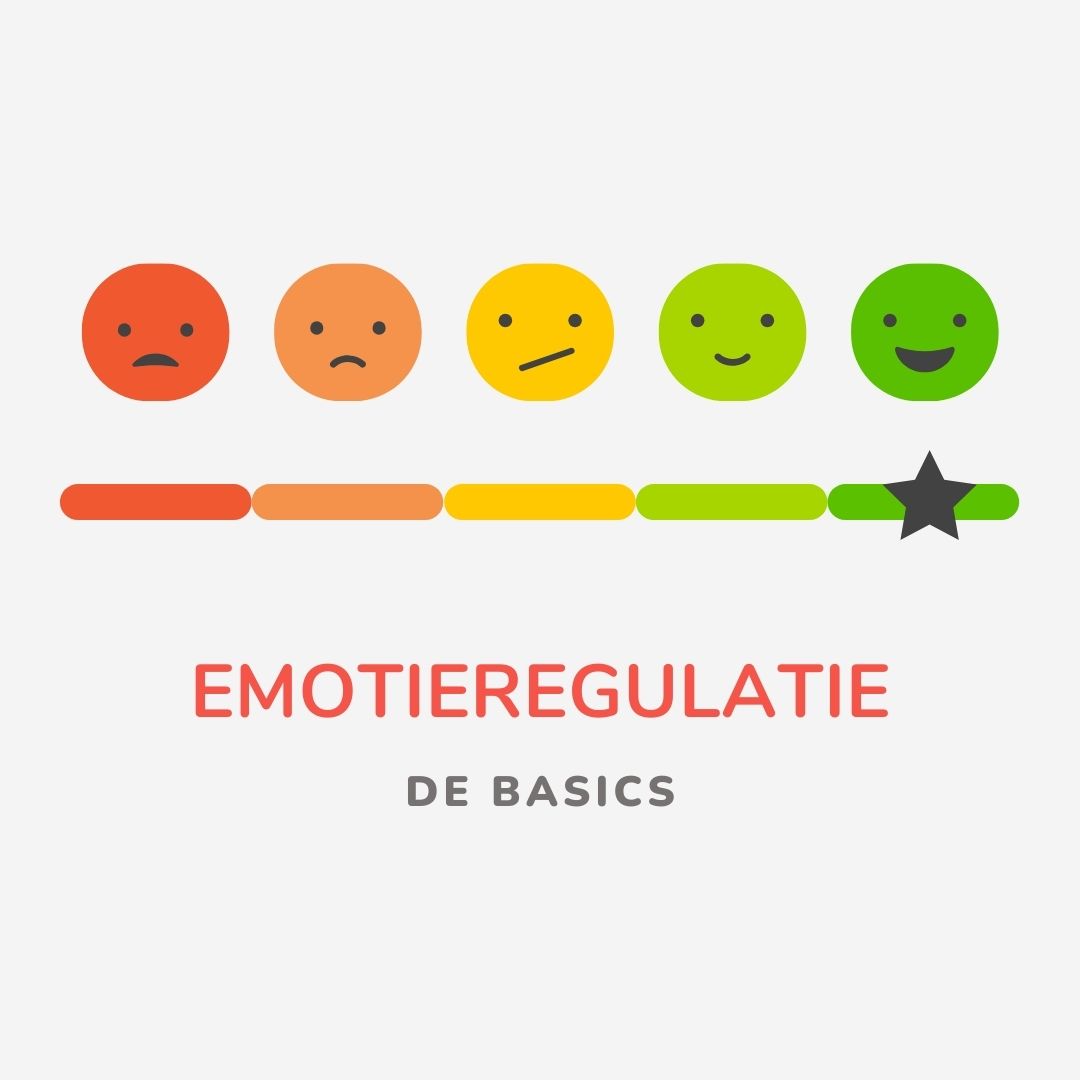 Emotieregulatie: het belang van emotionele balans – De Schakel